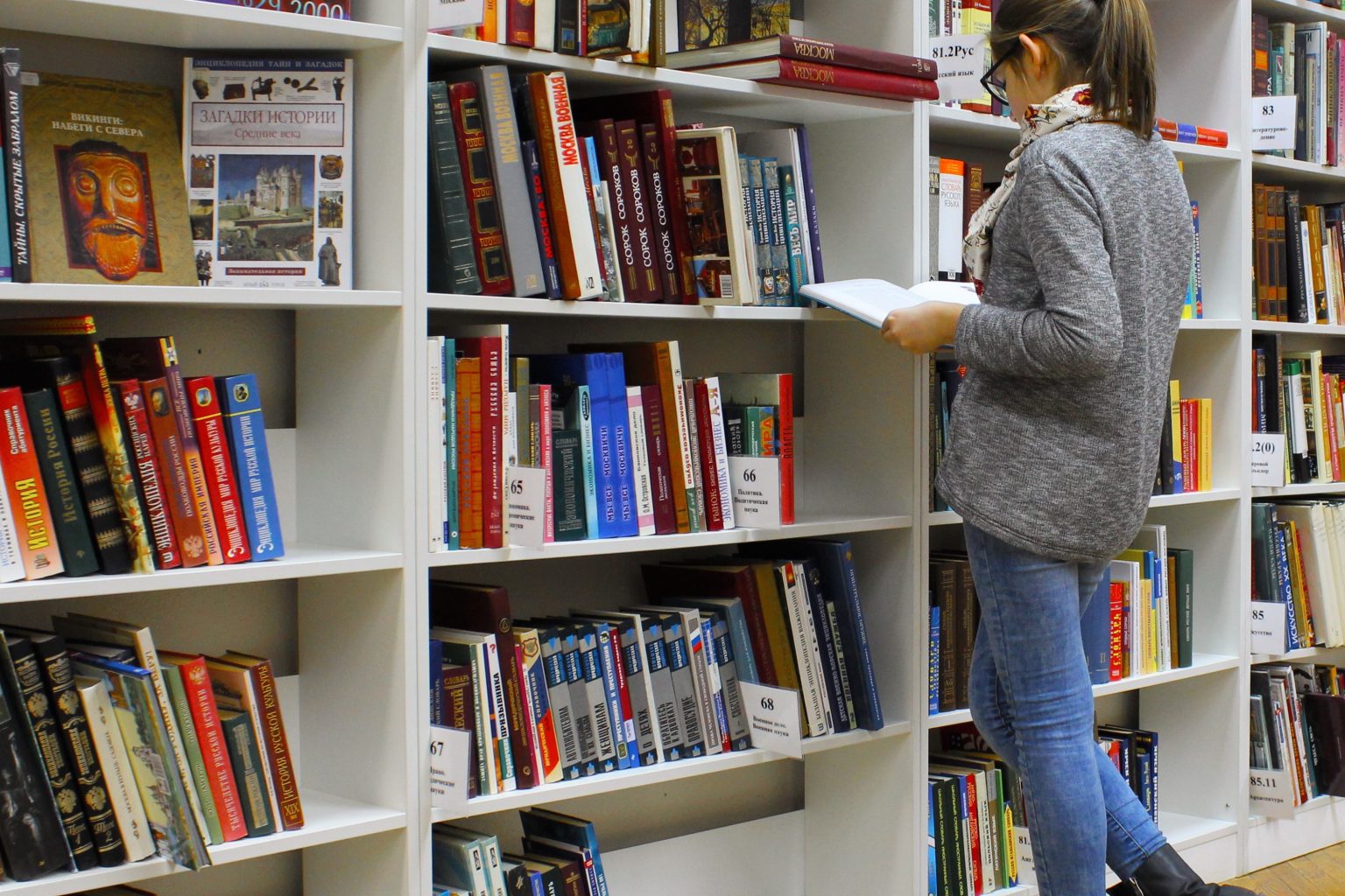 Système intégré de gestion de bibliothèque - Indev Systems